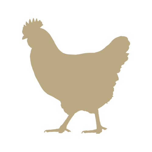 Aves – En Clave de Can